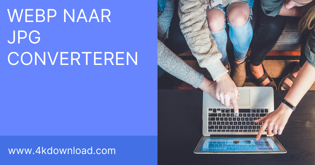 Hoe u WEBP naar JPG converteert | 4K Download